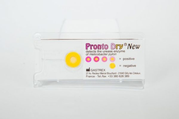 Pronto Dry - Rapid Urease Test | Pentland Medical